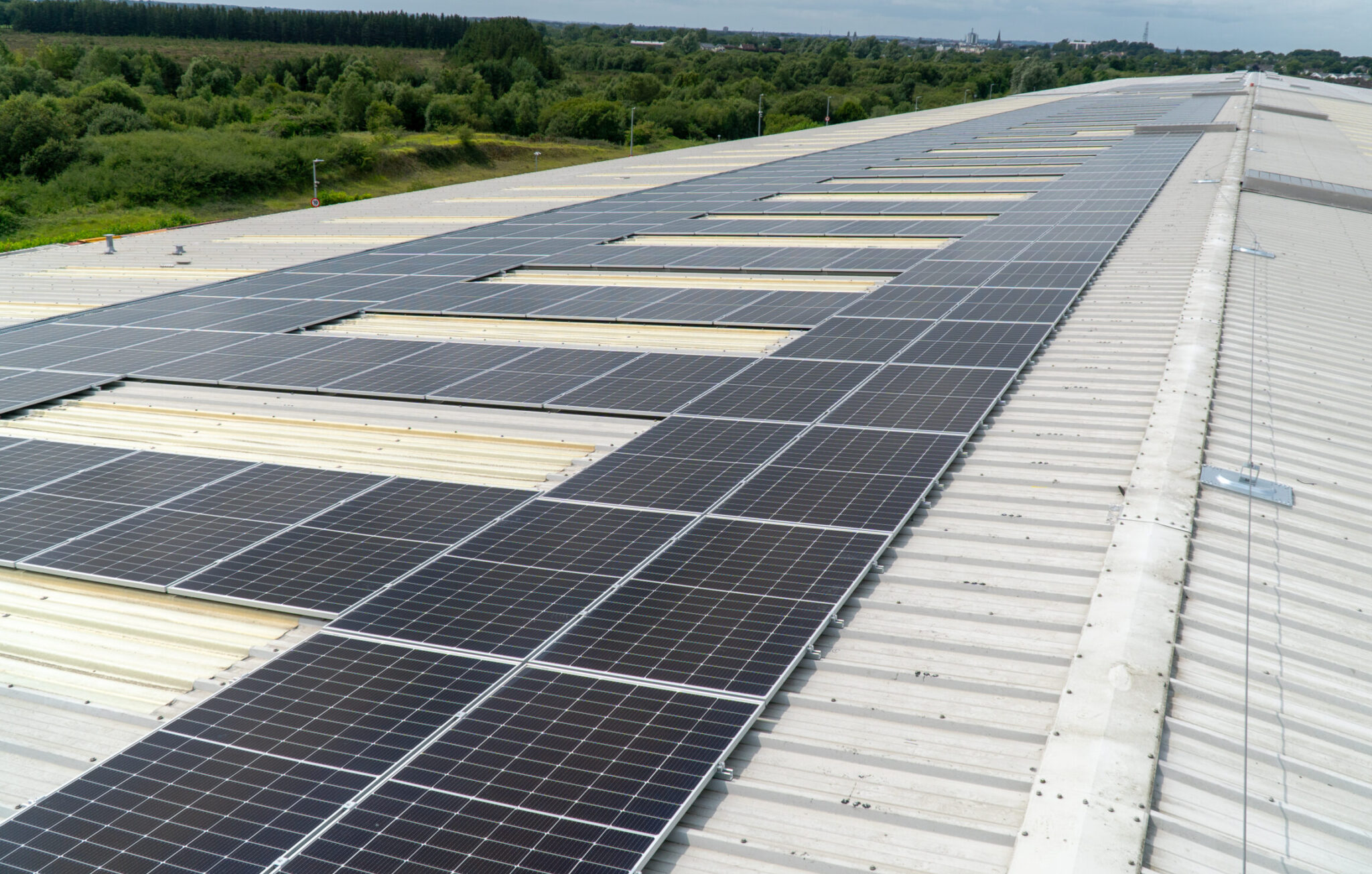 DPD Ireland | Ireland's Leading Parcel Delivery & Courier Service